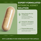 herbal remedy for kidney function