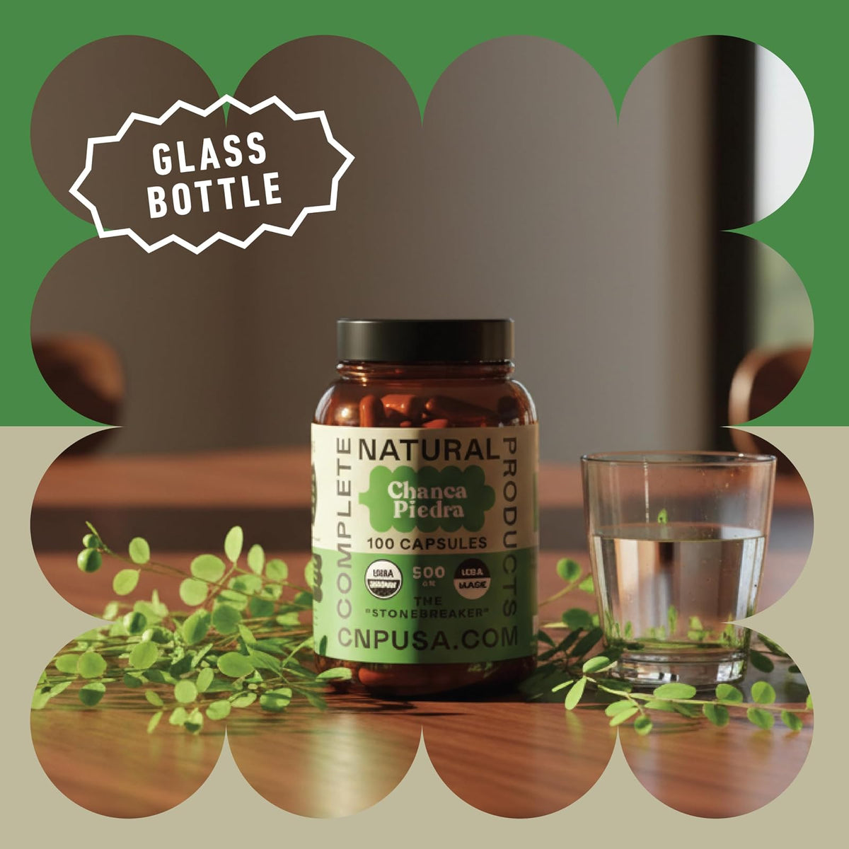 herbal remedy for kidney health