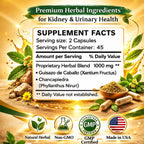 herbal remedy for kidney health