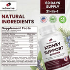 herbal remedy for kidney wellness