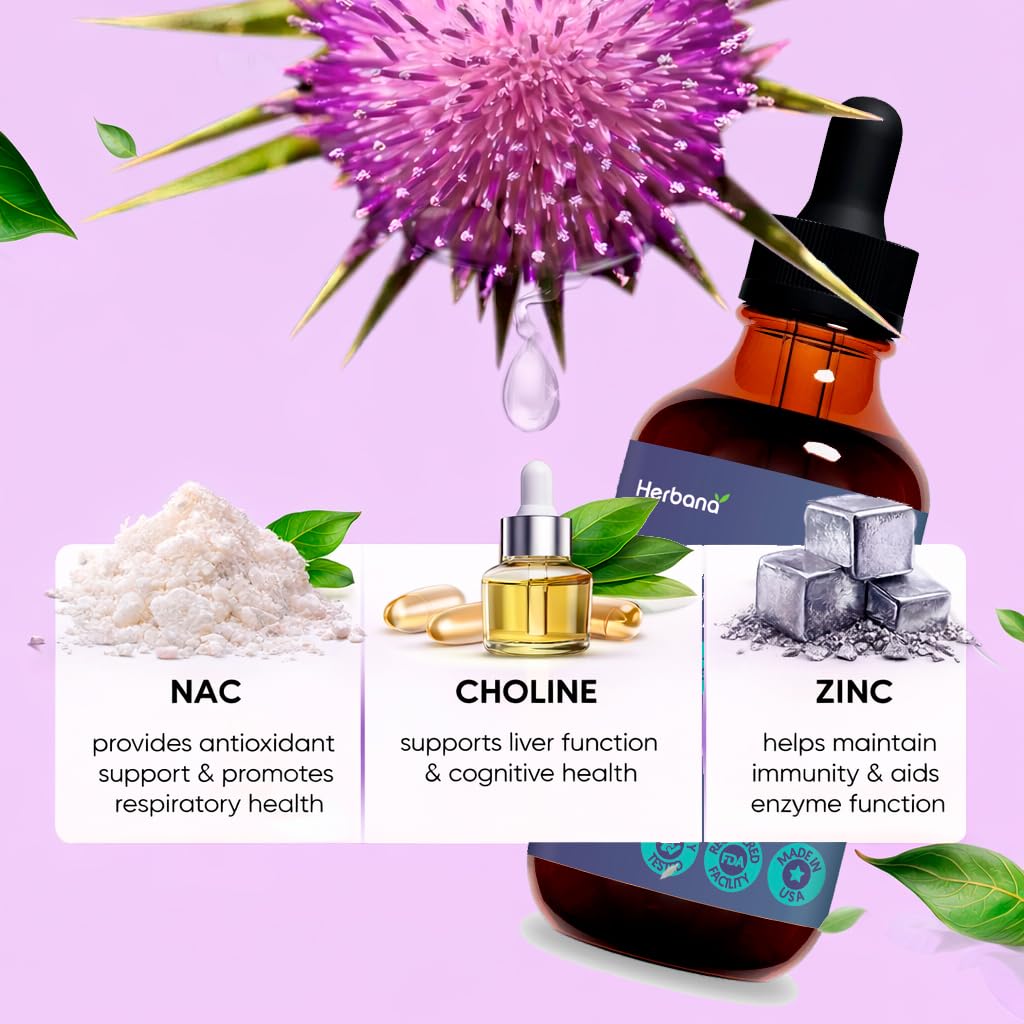 herbal remedy for liver function