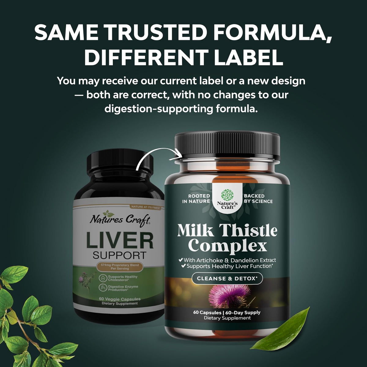 herbal remedy for liver health