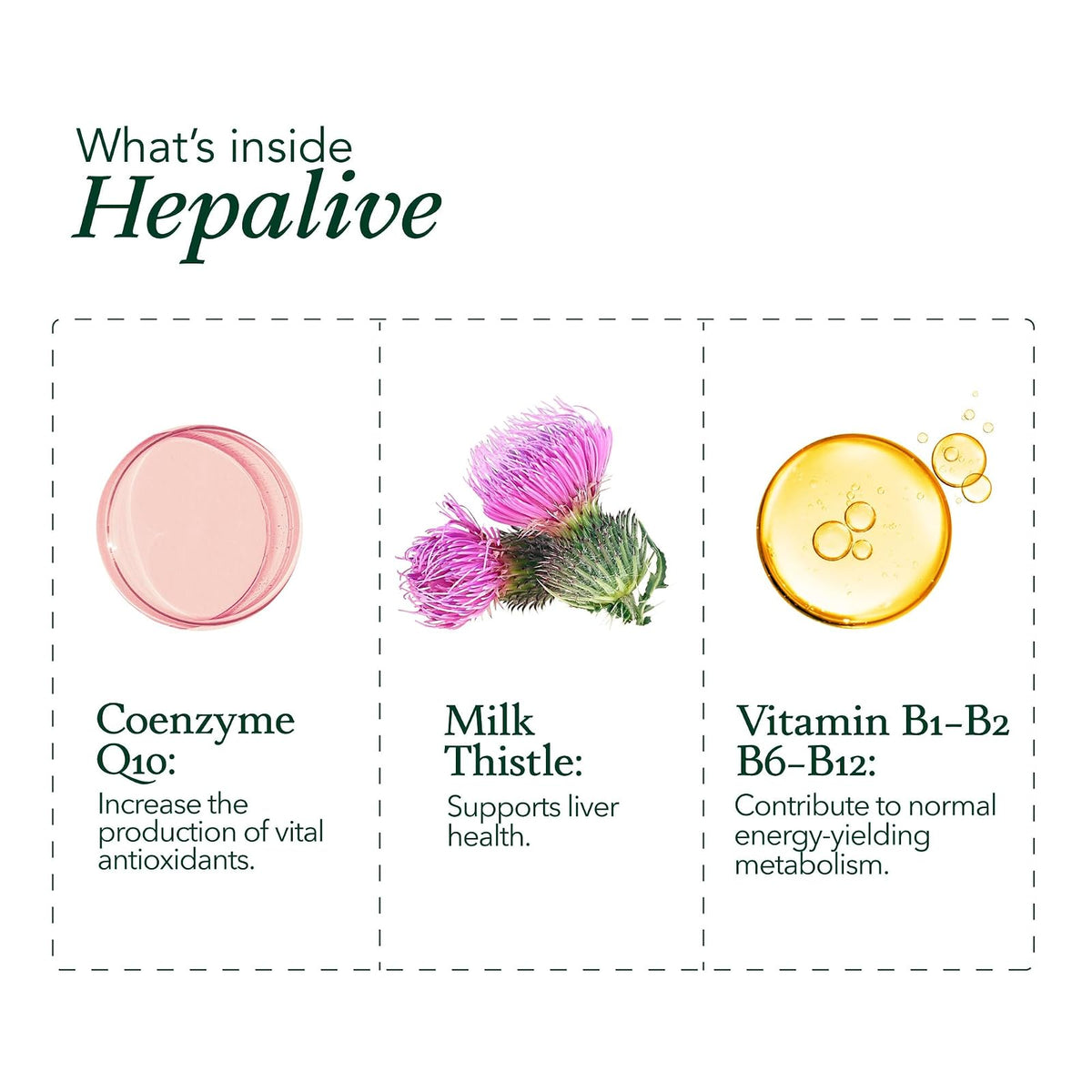 herbal remedy for liver health