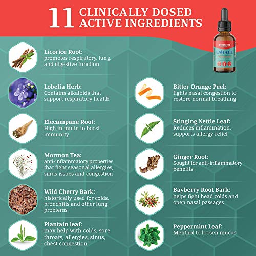 herbal remedy for lung detoxification