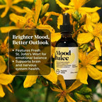 Herbal remedy for mood support