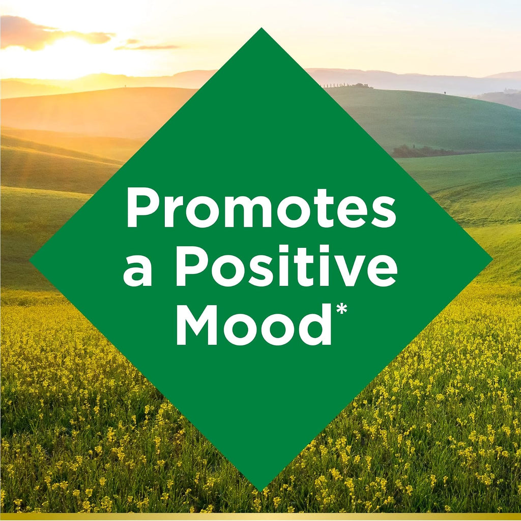 Herbal remedy for mood support