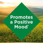 Herbal remedy for mood support