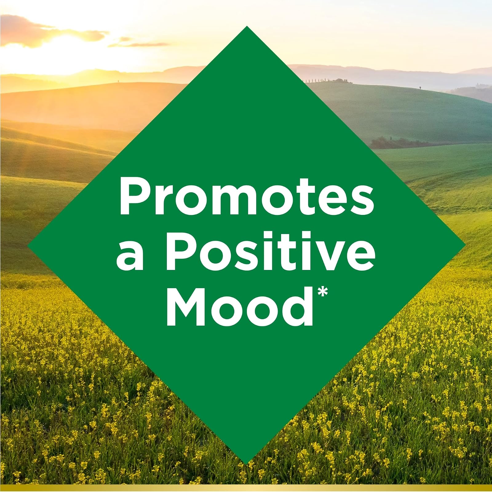Herbal remedy for mood support
