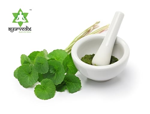 herbal remedy for overall wellness
