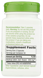 Herbal remedy for relaxation Skullcap