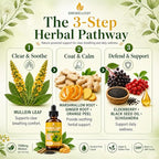 Herbal remedy for seasonal allergies