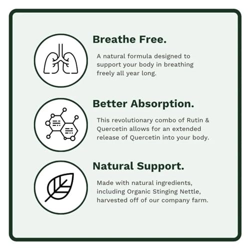herbal remedy for sinus issues with nettle