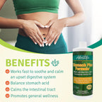 herbal remedy for stomach health