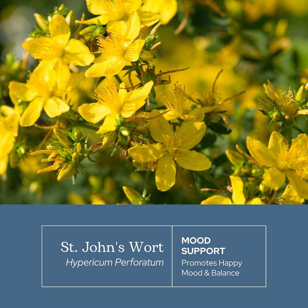 herbal remedy for stress relief
