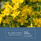 herbal remedy for stress relief