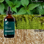 herbal remedy for strong bones