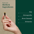 herbal remedy for thyroid balance