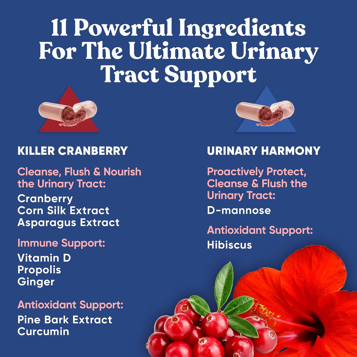 Herbal remedy for urinary tract wellness