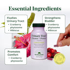 herbal remedy for urinary tract