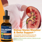 Herbal remedy for urinary wellness