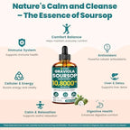 Herbal remedy for wellness support
