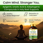 Herbal remedy for wellness
