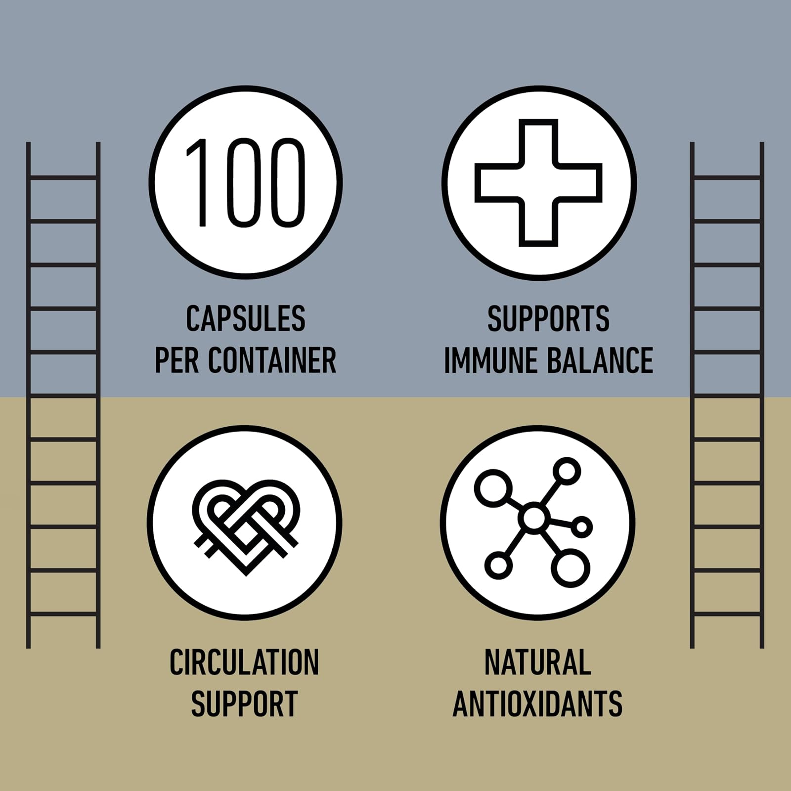 herbal remedy garlic capsules 100 count