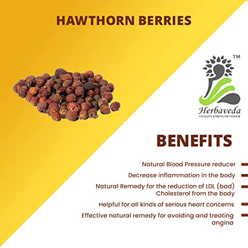 herbal remedy hawthorn berry benefits