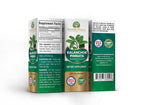 herbal remedy Kalanchoe Pinnata glycerite