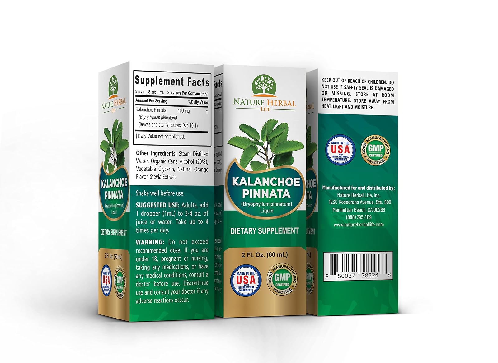 herbal remedy Kalanchoe Pinnata glycerite