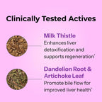 herbal remedy milk thistle benefits