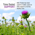 herbal remedy milk thistle benefits
