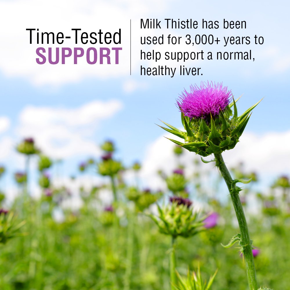 herbal remedy milk thistle benefits