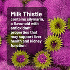 herbal remedy milk thistle dandelion