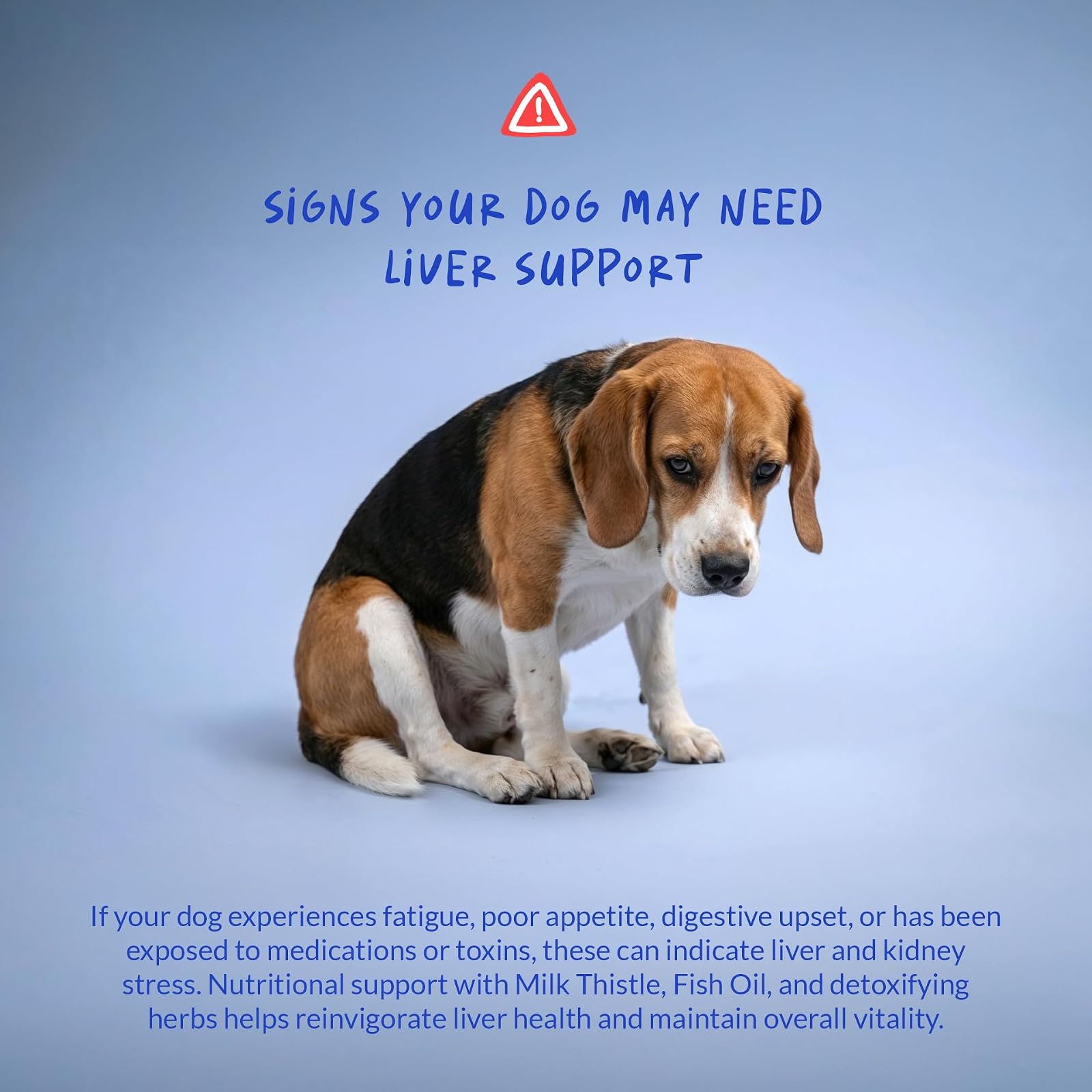 herbal remedy milk thistle for dogs