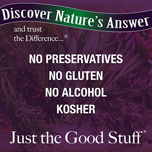 herbal remedy milk thistle for wellness
