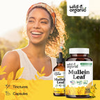 Herbal remedy Mullein 120 capsules