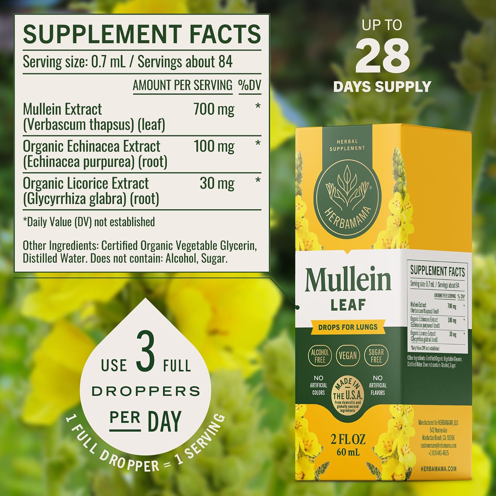 Herbal remedy Mullein Drops for breathing