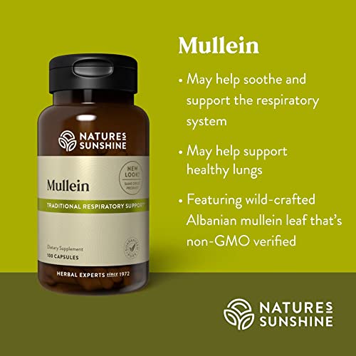 herbal remedy mullein for breathing