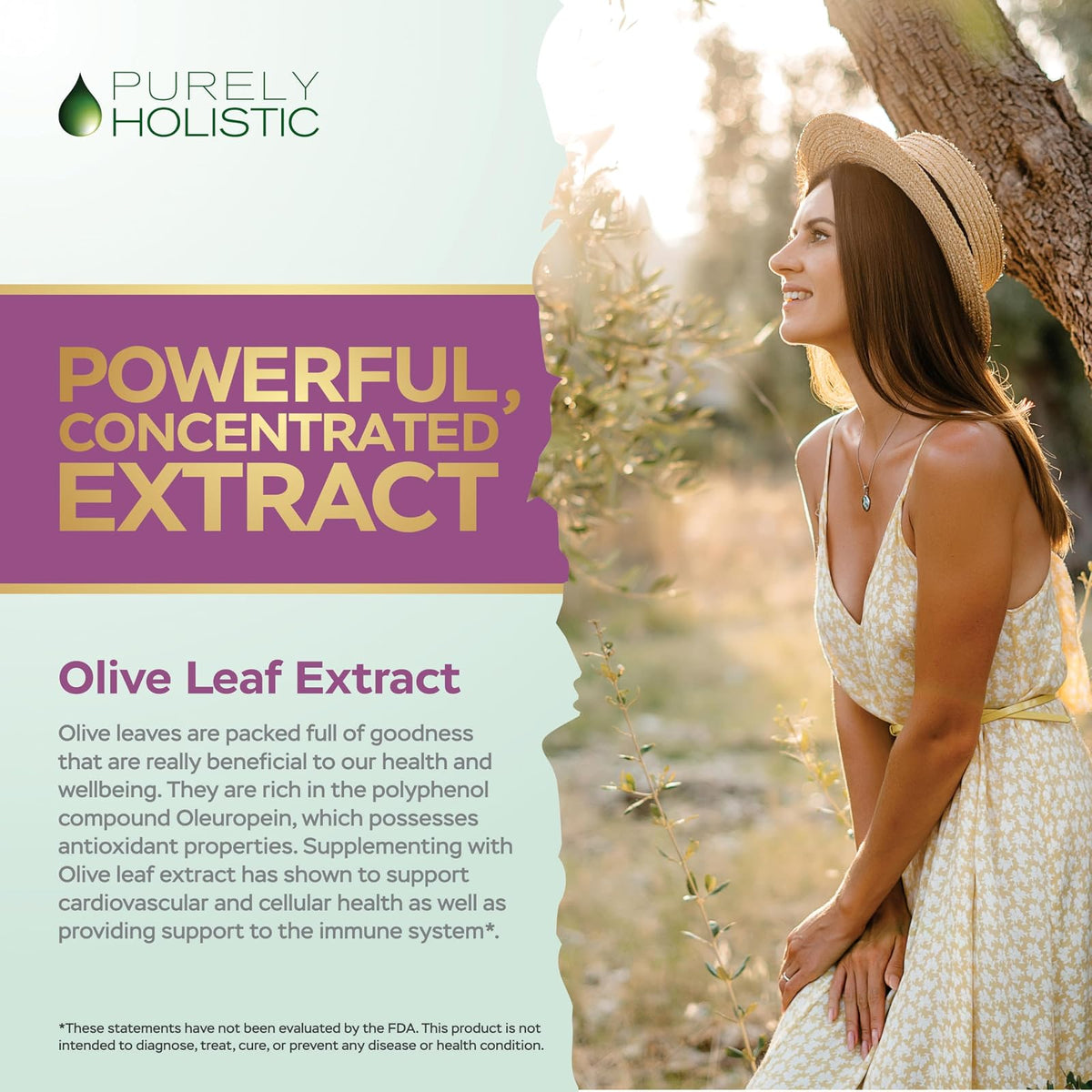 Herbal remedy olive leaf extract capsules