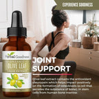 herbal remedy olive leaf extract