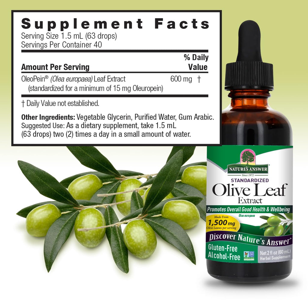 herbal remedy olive leaf tincture