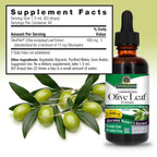 herbal remedy olive leaf tincture