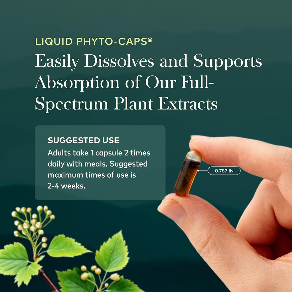 herbal remedy oregano oil