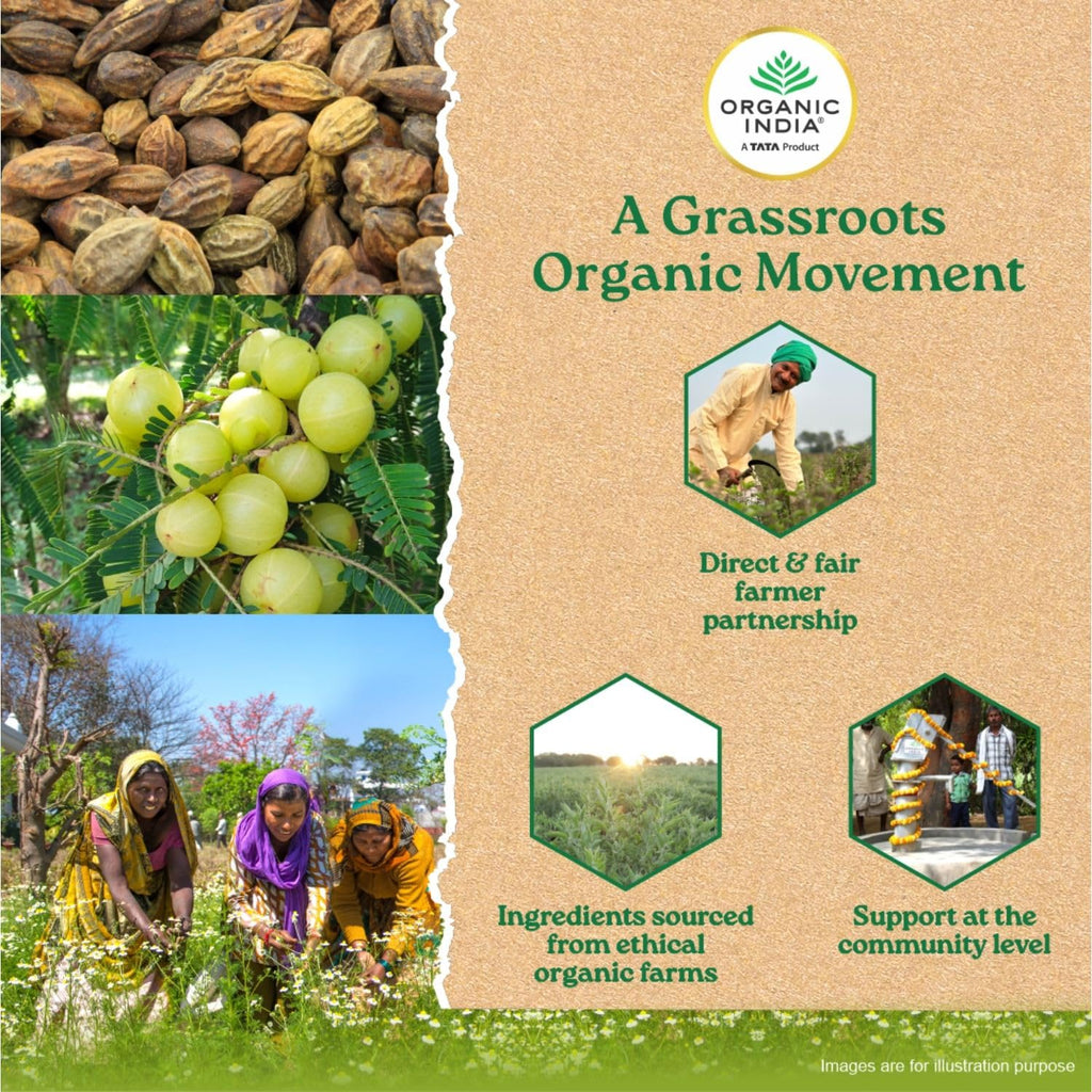 herbal remedy Organic India Triphala