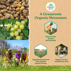herbal remedy Organic India Triphala