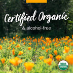 herbal remedy rhodiola root extract