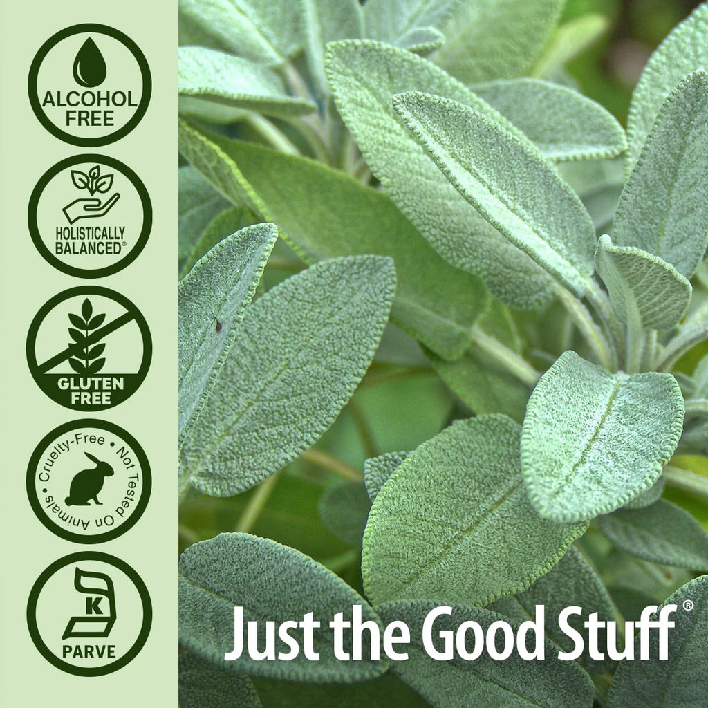 Herbal remedy Sage Leaf extract