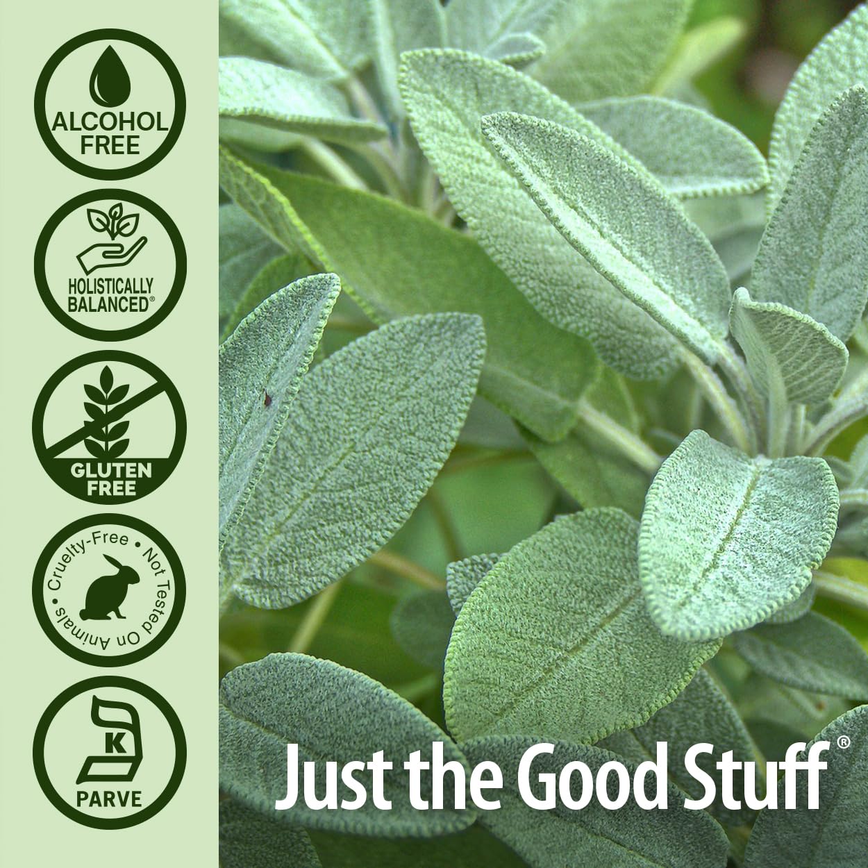Herbal remedy Sage Leaf extract