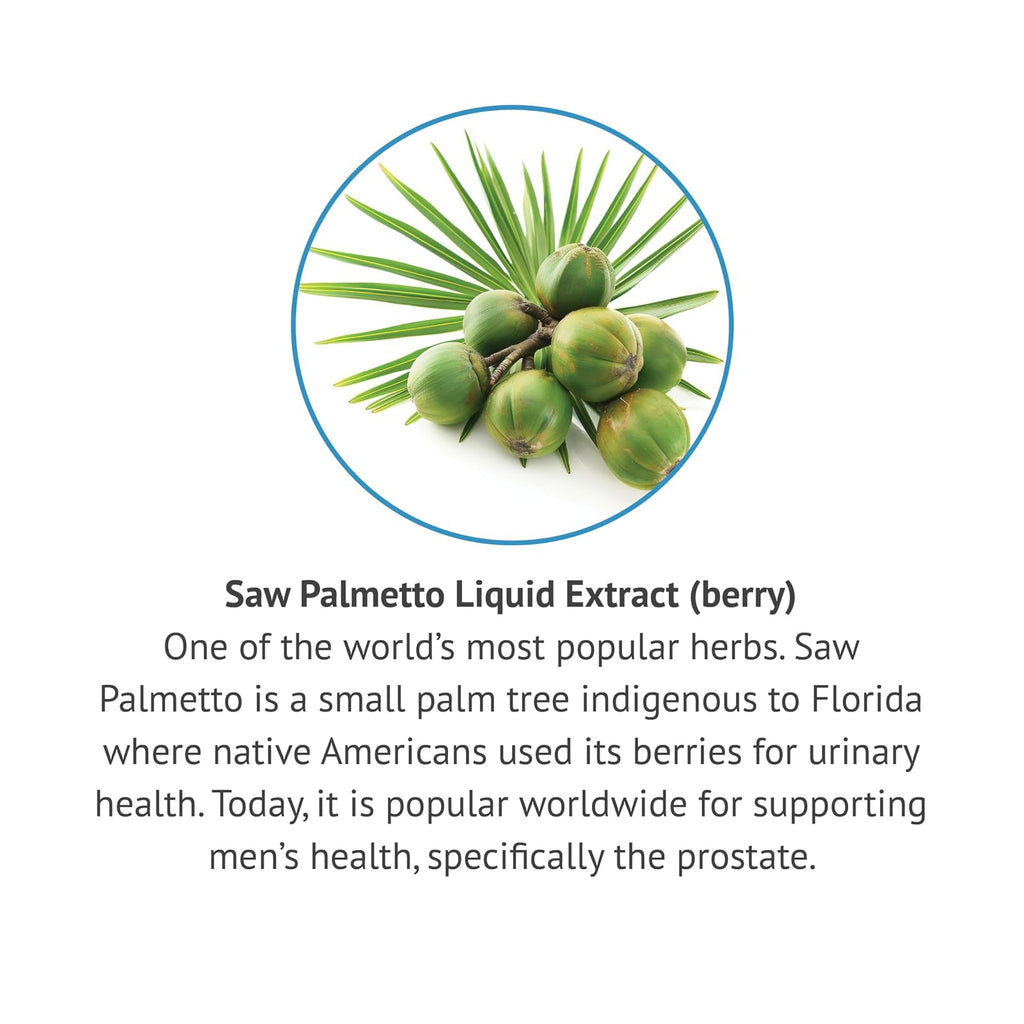 Herbal remedy saw palmetto for hair health
